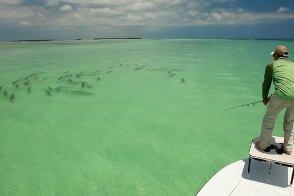 UNTAMED ANGLING - the Biggest Arapaima Reserve! « FlyMag.net