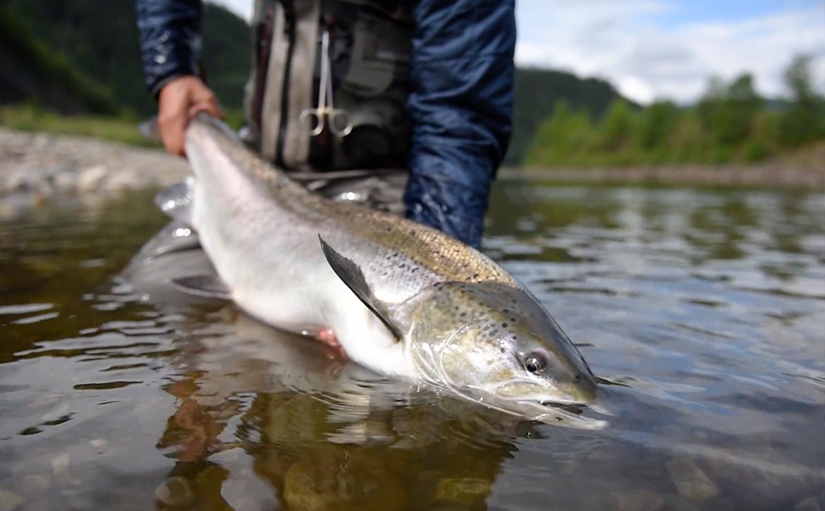 We Fish The Gaula - the Most Amazing Norway Salmon River Gaula ...