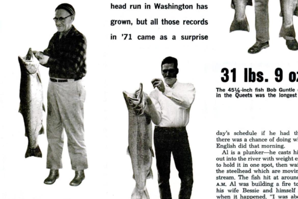 Wild Steelhead Protection Mission- Wild Steelhead Coalition — Flymag.Net