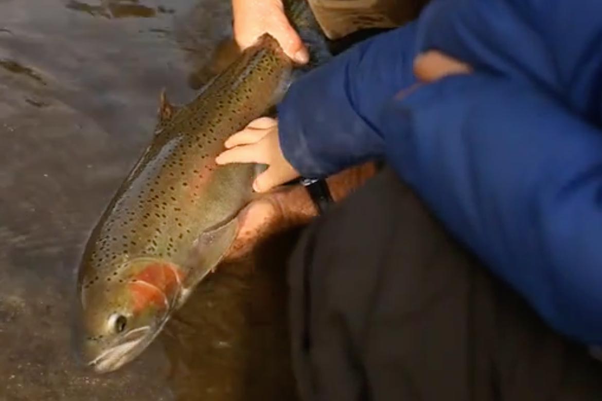 Special First Times! "My First Fish" from Oceanic Productions — Flymag.Net